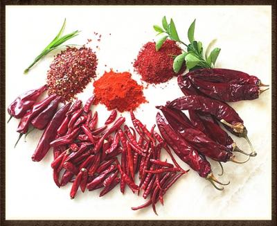 China Moisture 8%-12% Dried Guajillo Chili Red Whole / Stick for sale