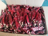 China Mesh Number Labeling and Identification Dried Red Chilli Moisture≤14% for Products for sale