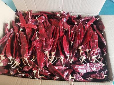 China Mesh Number Labeling and Identification Dried Red Chilli Moisture≤14% for Products for sale