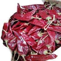 China 500SHU Grade A Hot Red Jinta Chili Peppers Sticks Whole - 8-12% Moisture for sale