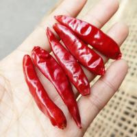 China 100g Chinese Tianjin Dried Red Chilies With A Scale Of 100 - 150mm for sale