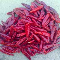 China Tianjin Red Chilies in Vitamin C Grown in Tianjin Chili Fields at Room Temperature for sale