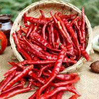 China Red Paprika Chili Spice And Seasoning Powder For Your Fine Dining Experience for sale
