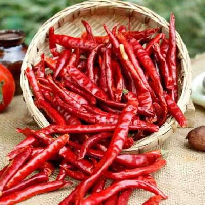 China Red Paprika Chili Spice And Seasoning Powder For Your Fine Dining Experience for sale