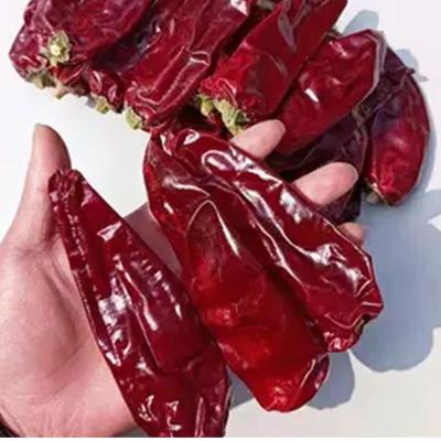 China Cayenne Chili Pepper Strong Pungent Flavor Dry Air Sun Dried With Low Impurities for sale