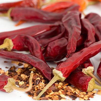 China Pungent Cayenne Chili Peppers Strong Sanying Tianjin Chilli Paprika In Stemless Or Stem Cut for sale