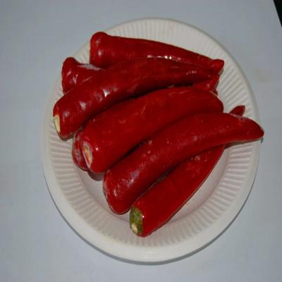China Premium Indian Chilli Powder - Finely Textured ASTA 120 for sale