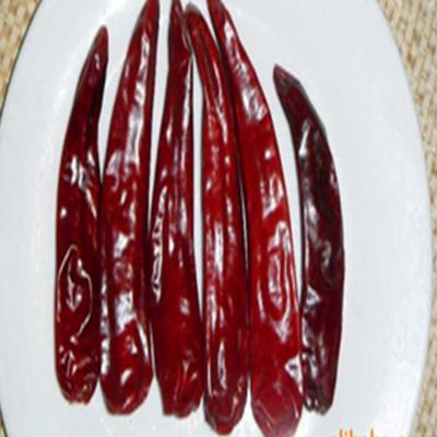 China Vitamin C Rich Spicy Powdered Red Chilli Pepper for Food Seasoning for sale