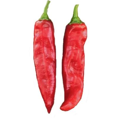 China Finely Ground Spicy Chilli Powder Vitamin C Natural Red Color for sale