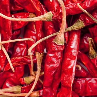 China 1% Impurity Stemless Sanying Red Chilli Pepper With Hot Pungency 10000-20000 SHU for sale