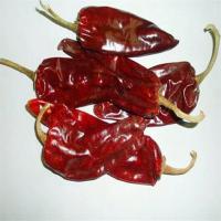 China Spicy Dried Red Peppers Seasoning And Chili Base for sale