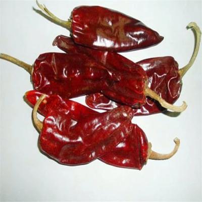 China Spicy Dried Red Peppers Seasoning And Chili Base for sale