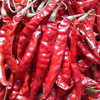 China 10kg Cayenne Chilli With 1% Impurity Sanying Air Dried Sun Dried Peppers for sale
