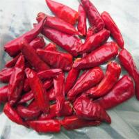 China 20000-30000SHU Hot Red Bullet Chilli Small Single Herbs Spices For Country Markets for sale