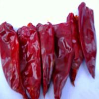 China 7-15cm Length Yidu Chili Strong Pungent Chilli Flavor for Dry And Cool Place Storage for sale