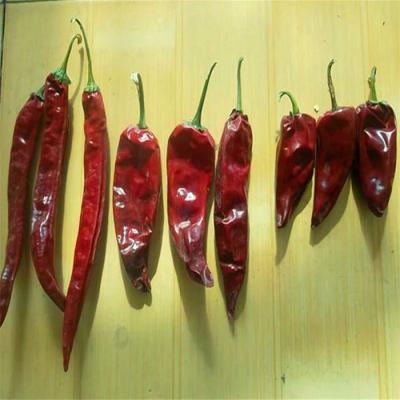 China Add a Kick to Your Dishes with Dried Spicy Peppers Essential Chili Ingredients for sale