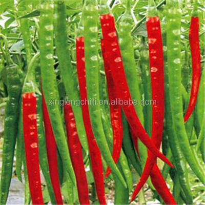 China Hot Spicy Dried Red Chilli Peppers Spice Level Hot Pungency SHU50000-90000 Taste Hot for sale