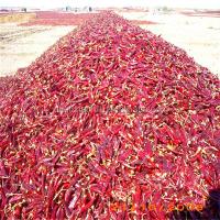 China SHU50000-90000 Pungency Dried Red Chilli Peppers Unit Weight 10kg/bag Impurity 1 for sale