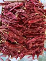 China Natural Red No Additive Paprika Chilli Dried Red Chilli Peppers 10kg/CTN for Food Cooking for sale