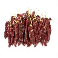 China Natural Red Dried Guajillo Chili with No Additive and ≤ 11-14.0% Moisture for Cooking for sale