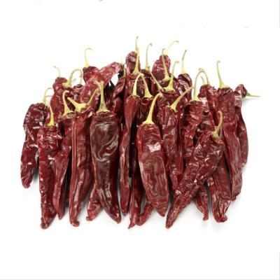 China Natural Red Dried Guajillo Chili with No Additive and ≤ 11-14.0% Moisture for Cooking for sale