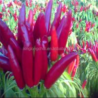 China Spicy dehydrated hot peppers red natural spicy ingredient widely used in culinary and industrial food applications for sale