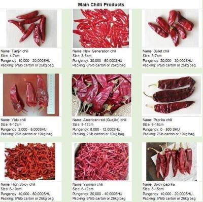 China Crispy Chinese Dried Chili Peppers Spicy Flavor No Allergen Information Excellent for Food Industry and Culinary Recipes for sale