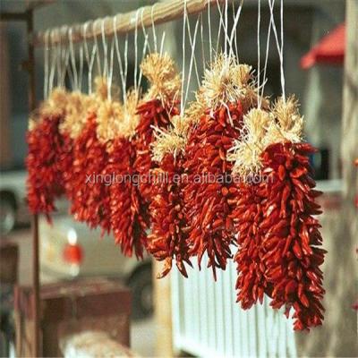 China Crispy Texture Chinese Dried Chili Peppers Stored in Dry And Cool Place Featuring Shelf Life of 1 Year Perfect for Food Industry and Cooking for sale