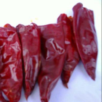China High In Vitamin C Sichuan Facing Heaven Chillies Chili Peppers Ingredients Perfect For Food Industry And Gourmet Cooking for sale