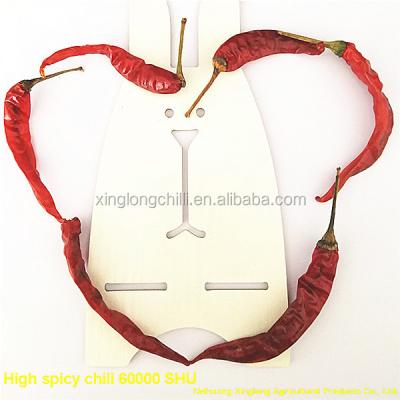 China Bullet Chili Red Bullet Chilli Broken Rate 2 Percent Max Bullet Shaped Spice Perfect for Culinary and Food Manufacturing for sale