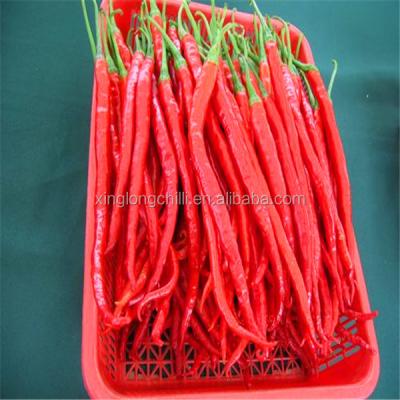 China Small Red Bullet Chilli with Hat Broken Rate 2 Percent Max Meeting Industrial Standards and Bulk Order Requirements for sale