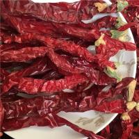 China Premium Chilli Pepper Powder Rich In Vitamin C And Antioxidants With 60-80 Mesh And 80-220 ASTA For Culinary Use for sale