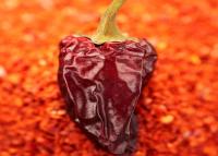 China Premium Chilli Pepper Powder 80-220 ASTA High In Vitamin C And Antioxidants With 24 Months Shelf Life for sale