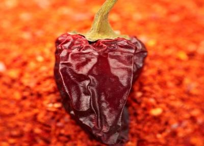 China Premium Chilli Pepper Powder 80-220 ASTA High In Vitamin C And Antioxidants With 24 Months Shelf Life for sale