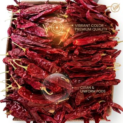China Fine Dried Red Chili Pepper Powder 80-100 Mesh Natural Sundried Ground Spice Export Quality Bulk Wholesale for sale