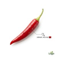China Sliced Dried Red Chili Pepper Strips Natural Sundried Chile Rojo Cut Cooking Ingredient Export Grade Food Service for sale