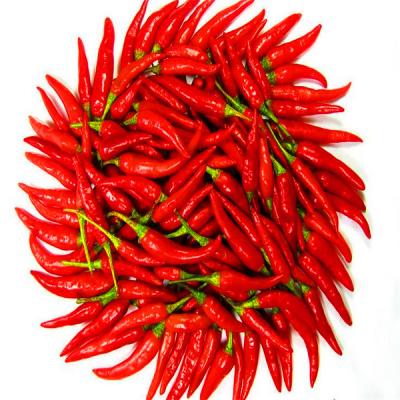 China 20000SHU Sanying Tianjin Red Chilies HACCP KOSHER Certificate for sale