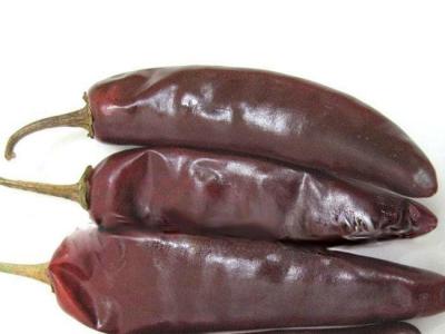 China 8000 Shu Yidu Chili Dried Jinta Chilli Pungent Chilli Flavor for sale