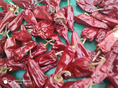 China Grade A 3000-5000shu Jinta Chilli Pepper With Sweet Taste for sale