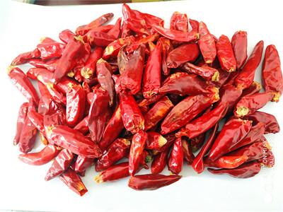 China In Vitamin C Red Jinta Chilli Pepper for sale