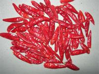 China 50000-90000SHU New Generation Chilli Pepper For Hot Pot for sale