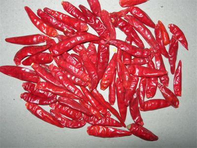 China 50000-90000SHU New Generation Chilli Pepper For Hot Pot for sale
