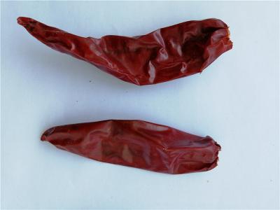 China Sweet Taste Hot Dried Jinta Chilli Pepper Strong Flavor for sale