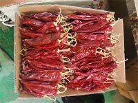 China Medium Sweet Paprika Pepper Garnish with Adjustable Seeds Ratio Elevate Your Cooking for sale