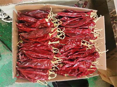 China Medium Sweet Paprika Pepper Garnish with Adjustable Seeds Ratio Elevate Your Cooking for sale