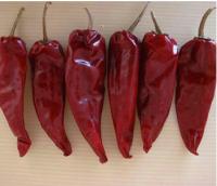 China AD Dried Yidu Chilli Round Shape 8000SHU Mild Dried Red Chilies for sale
