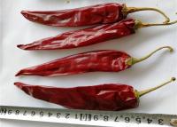 China Granule Dried Guajillo Chili Single Herb Dehydrated Spicy Red Paprika for sale