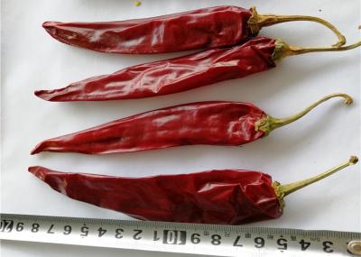China Granule Dried Guajillo Chili Single Herb Dehydrated Spicy Red Paprika for sale