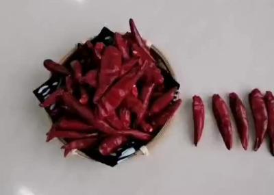 China 20000SHU Chinese Dried Red Chili Peppers 12% Moisture With Stem for sale