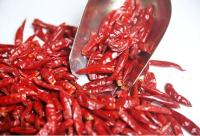 China Round Tianjin Red Chili Peppers Spicy And Flavorful for sale